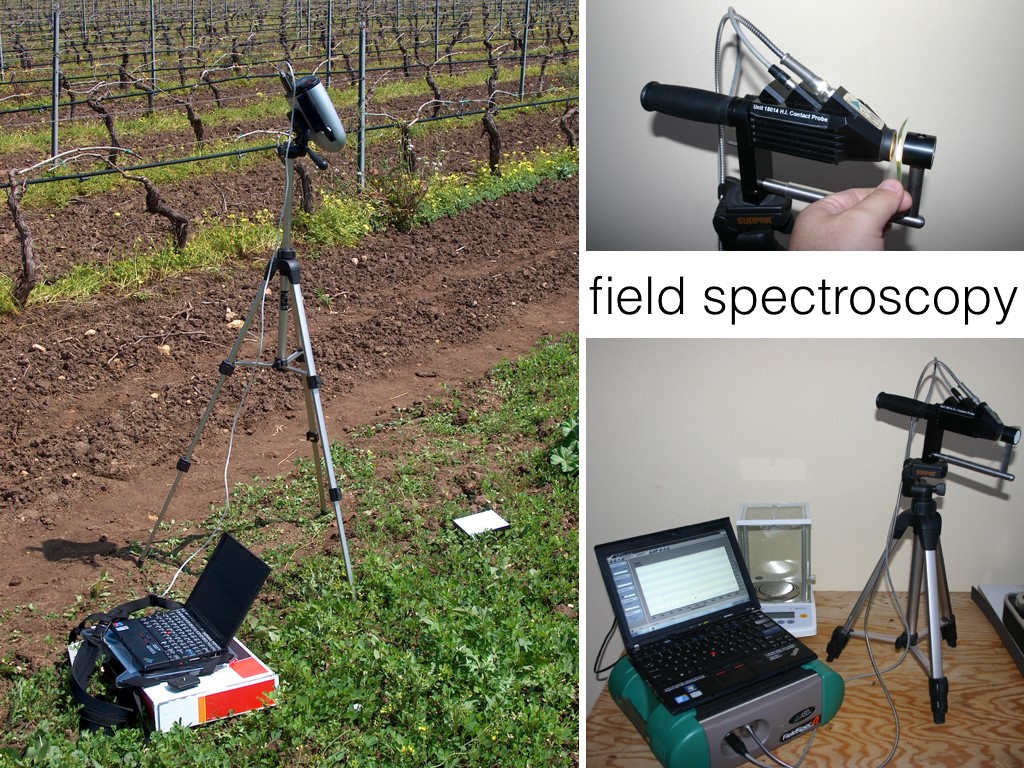 Field Spectroscopy-Parameterization of olive leaf P-V curve and ...